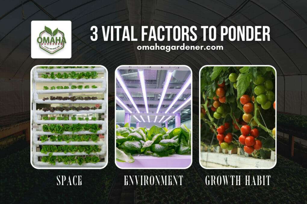 Aqua Bounty: 10 Best Plants For Hydroponics